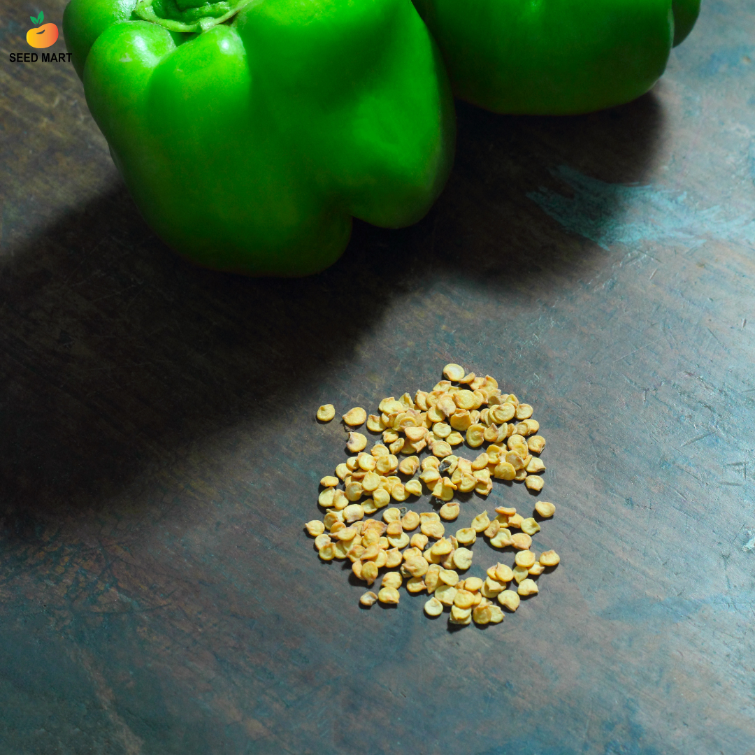 Capsicum Green Seeds, F1 Hybrid شملہ مرچ سبز – Seedmart