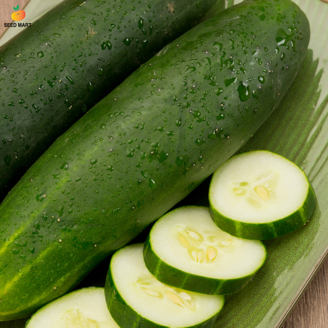 Cucumber Desi – دیسی کھیرا – Seedmart